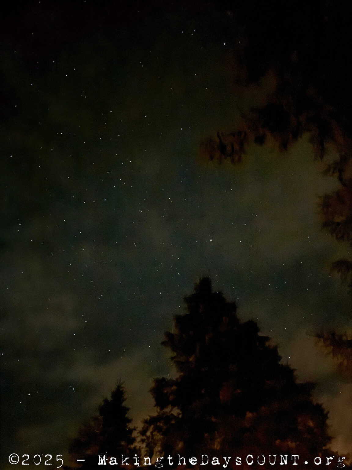 Starry night | Making the Days Count